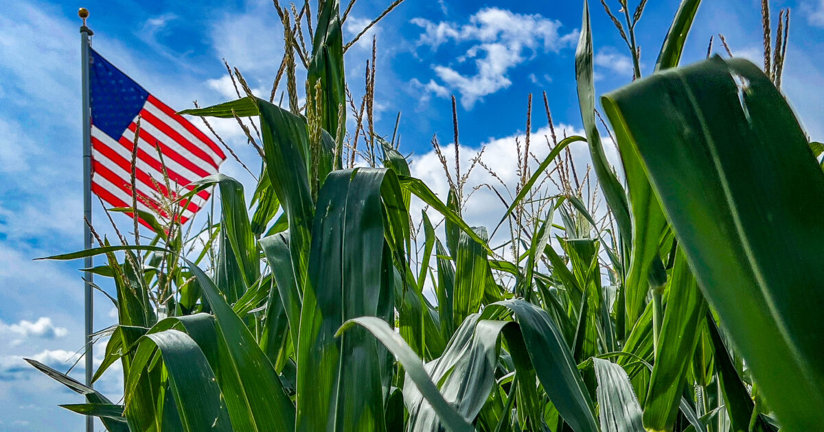 AFBF Comments on Nomination of Brooke Rollins for Agriculture Secretary ...
