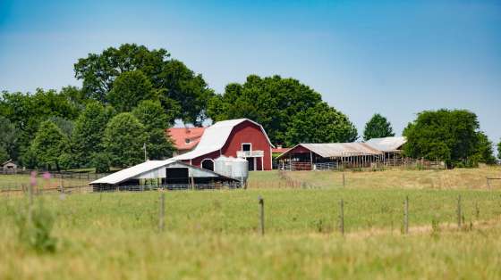 A Step Forward on the Farm Bill | The Zipline | American Farm Bureau ...