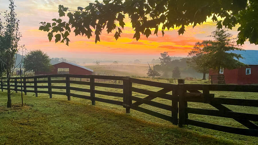 Modernizing Base Acres | Market Intel | American Farm Bureau Federation