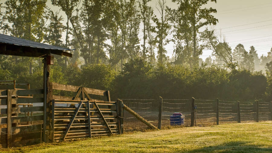 Agricultural Groups Sound Alarm about Farmers’ Future | News Release ...