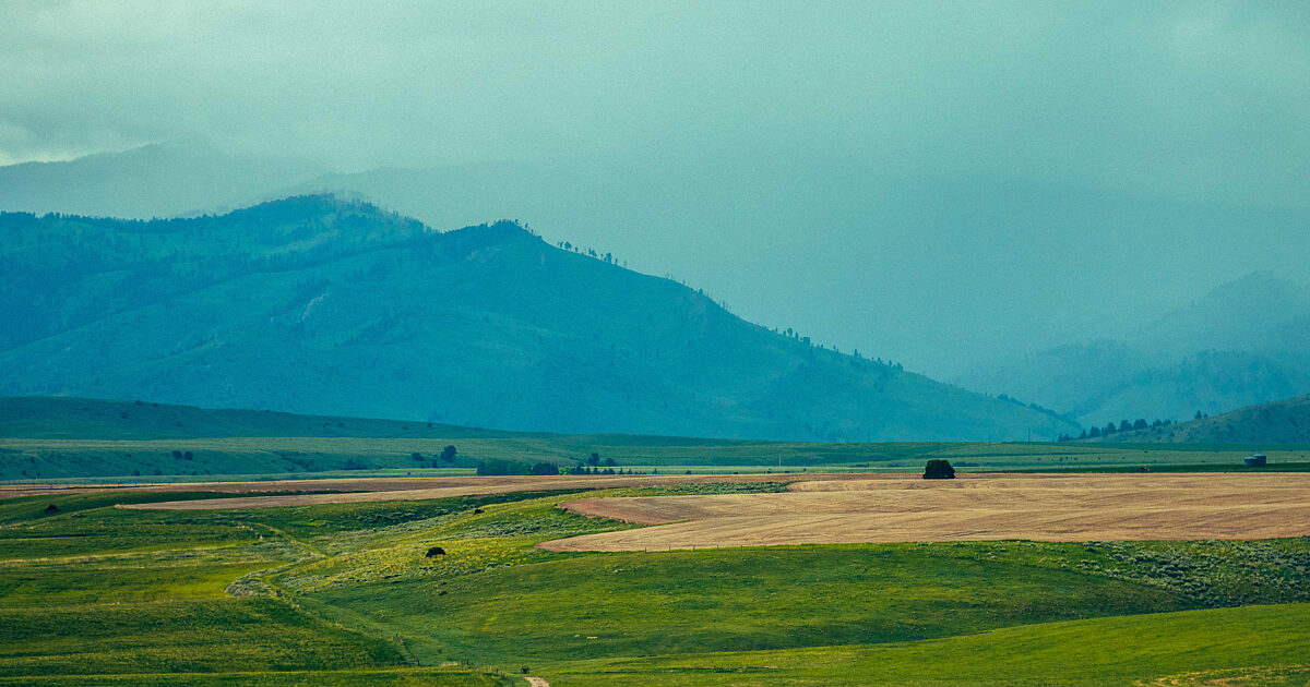 AGDAILY: Lawsuit Challenges BLM Public Lands Rule to Protect Ranching ...