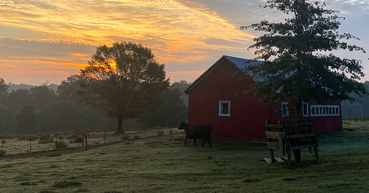 U.S. Agricultural Land Values and Cropland Cash Rents Reach New Highs ...