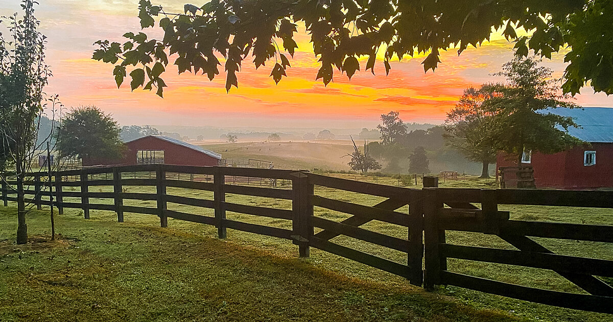 Modernizing Base Acres | Market Intel | American Farm Bureau Federation