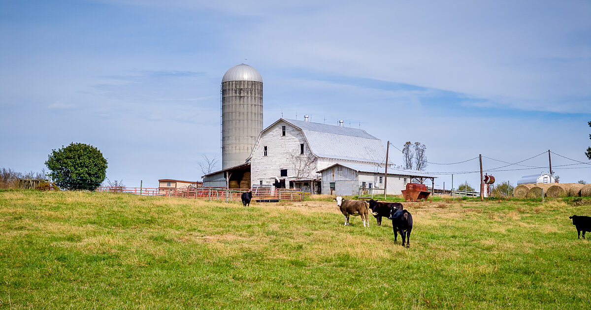 Latest USDA Forecast: Smaller – but Still Significant – Farm Income ...