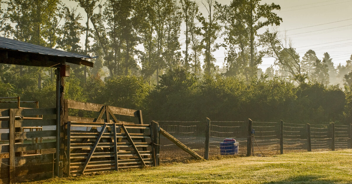 Agricultural Groups Sound Alarm about Farmers’ Future | News Release ...