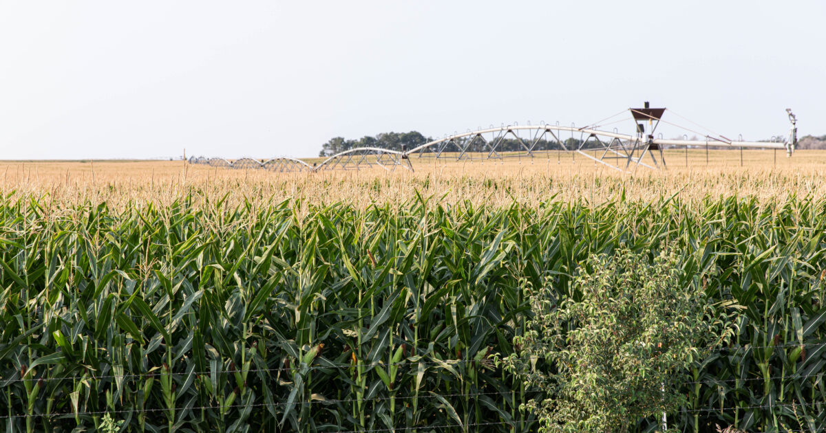 AGDAILY: Agriculture Emissions are at Their Lowest in 10 Years | In The ...