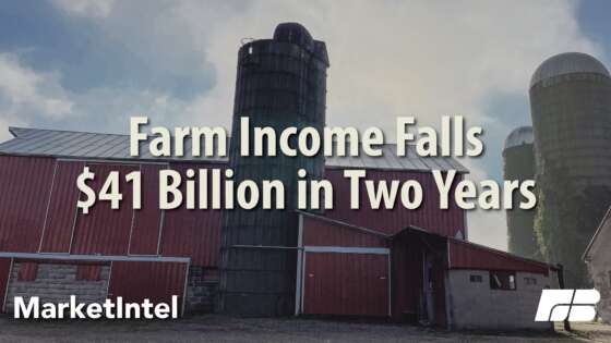 2024 Farm Income Decline Confirmed in USDA Update | Market Intel ...