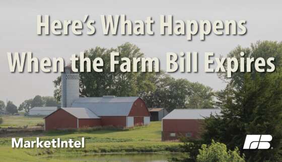 What Happens When a Farm Bill Dies? | Market Intel | American Farm ...