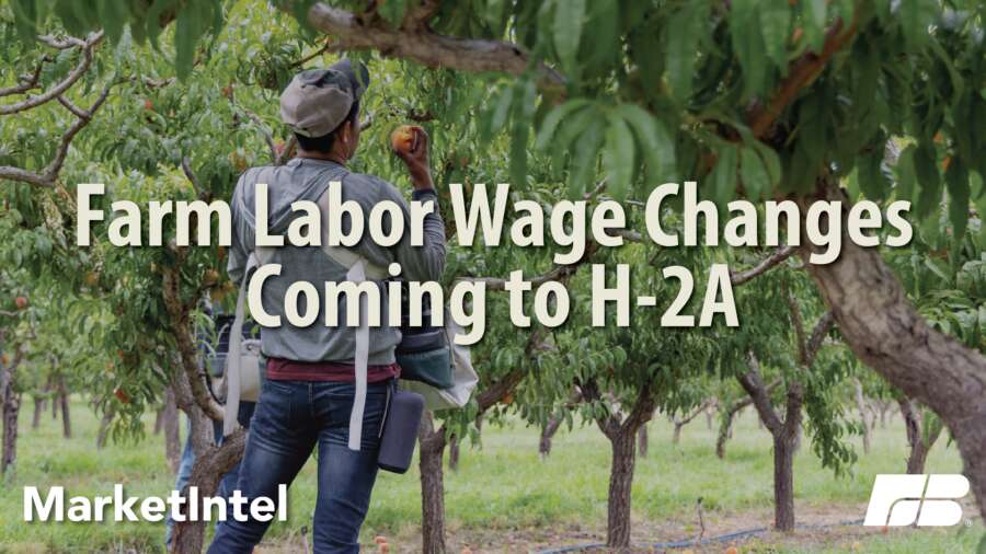 Farm Labor Wage Changes Coming to H-2A | Market Intel | American Farm ...