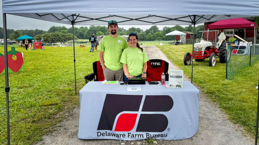 Delaware Farm Bureau Hosts a ‘Berry’ Good Festival | Farm Bureau News ...
