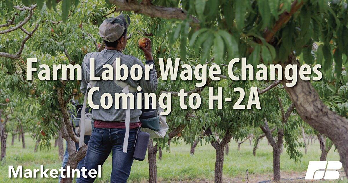 Farm Labor Wage Changes Coming to H-2A | Market Intel | American Farm ...