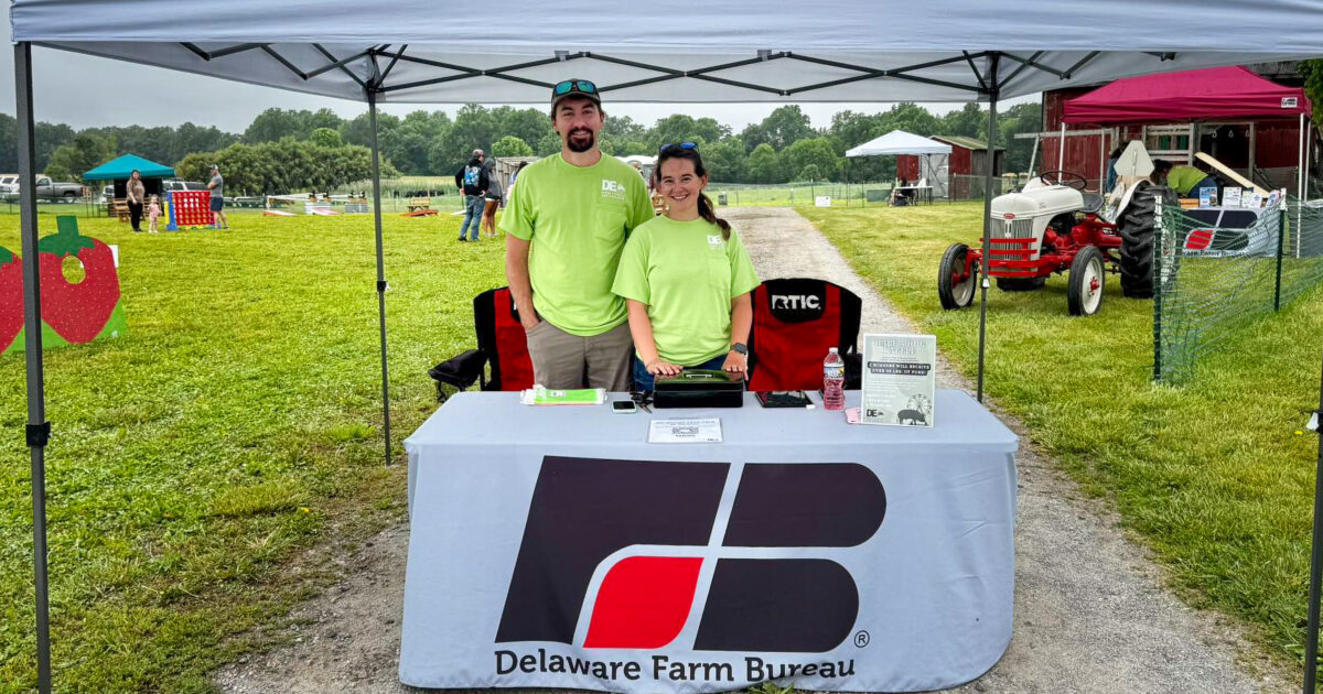 Delaware Farm Bureau Hosts a ‘Berry’ Good Festival | Farm Bureau News ...