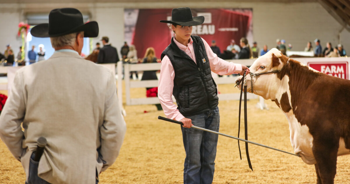 Youth Demonstrate Skills at Mississippi Farm Bureau’s Classic Livestock ...